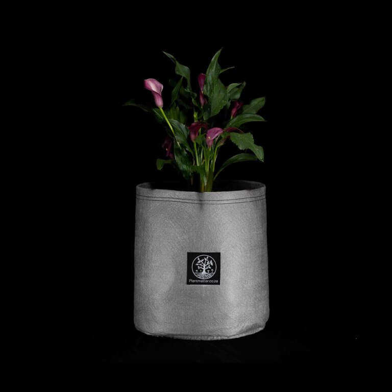 CannaBakery Cookies | Cafe420