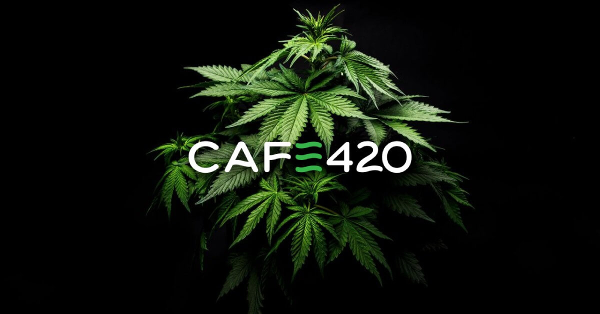 Cannabis Shop | South Africa | Cafe420